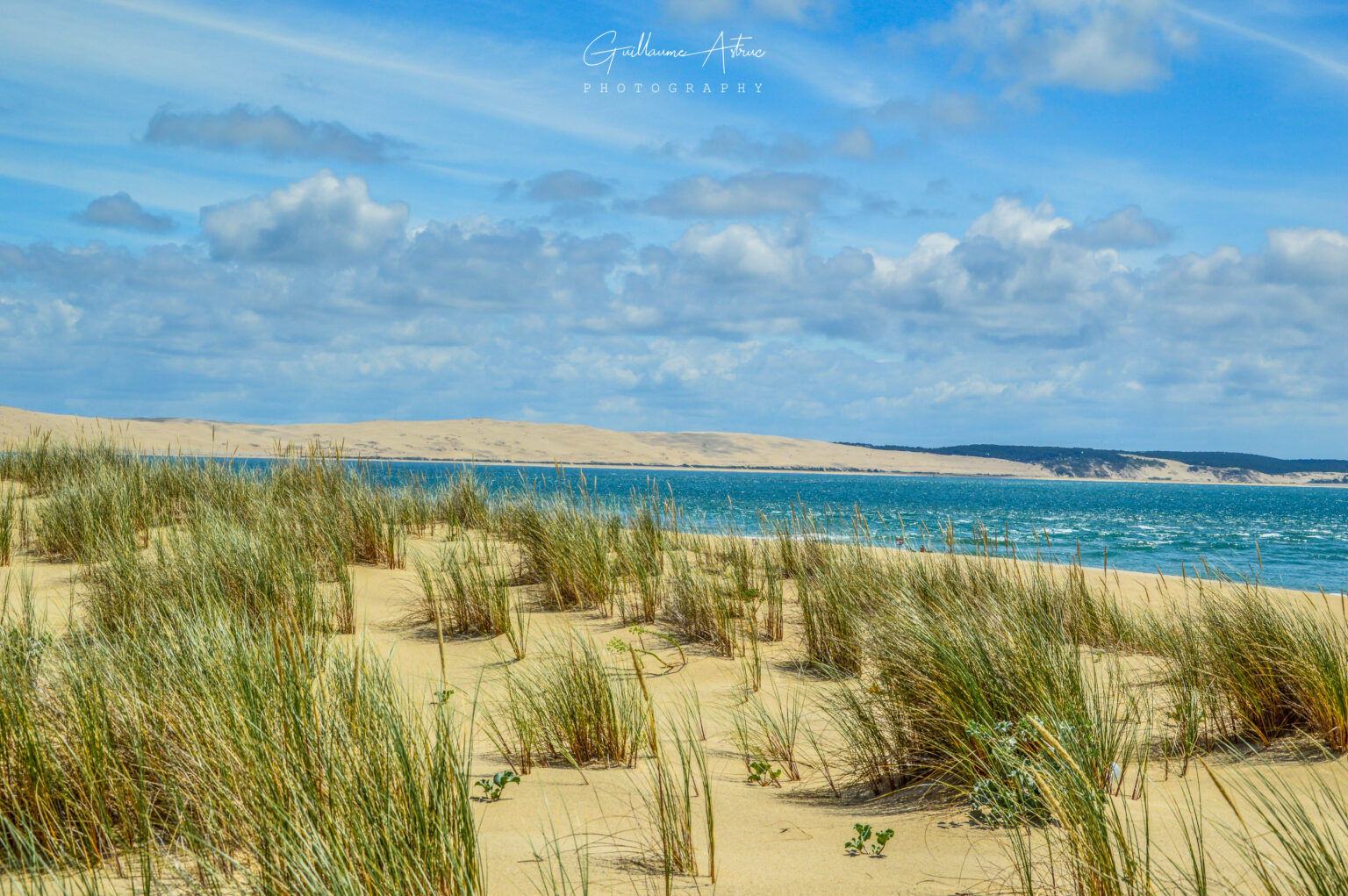 Le Cap Ferret à l'état sauvage - Guillaume Astruc Photography